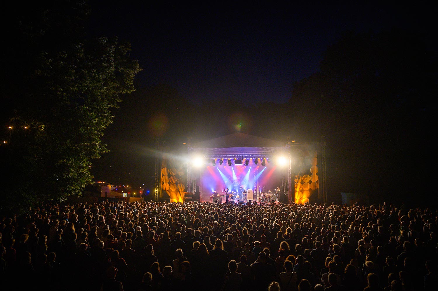 Damahi | داماهی