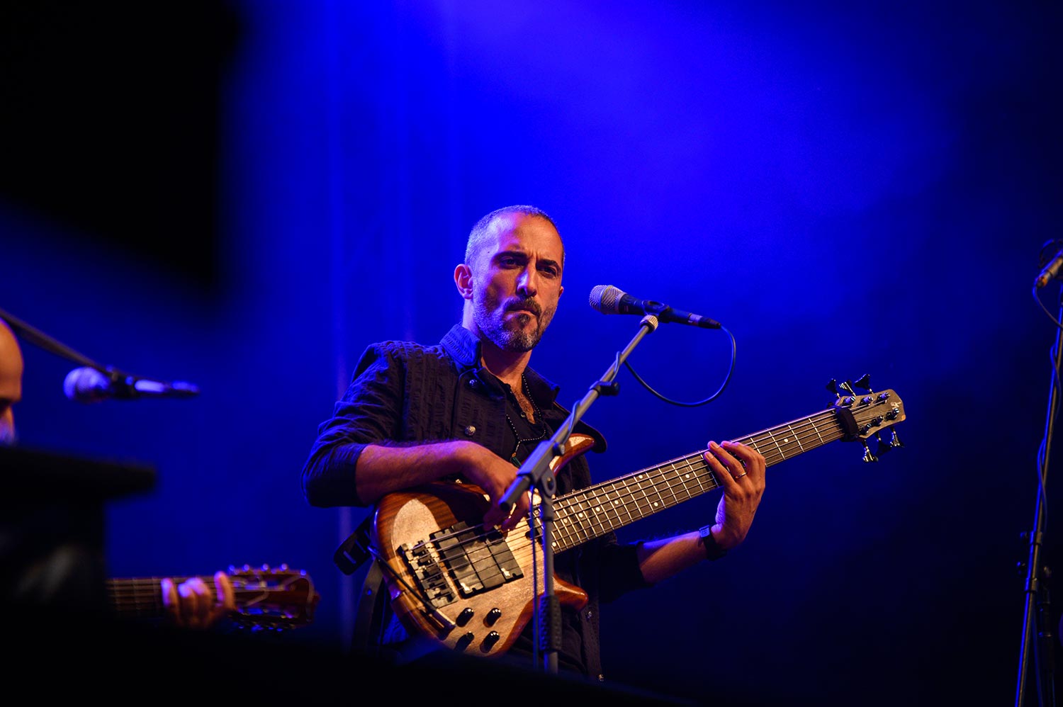 Damahi | داماهی