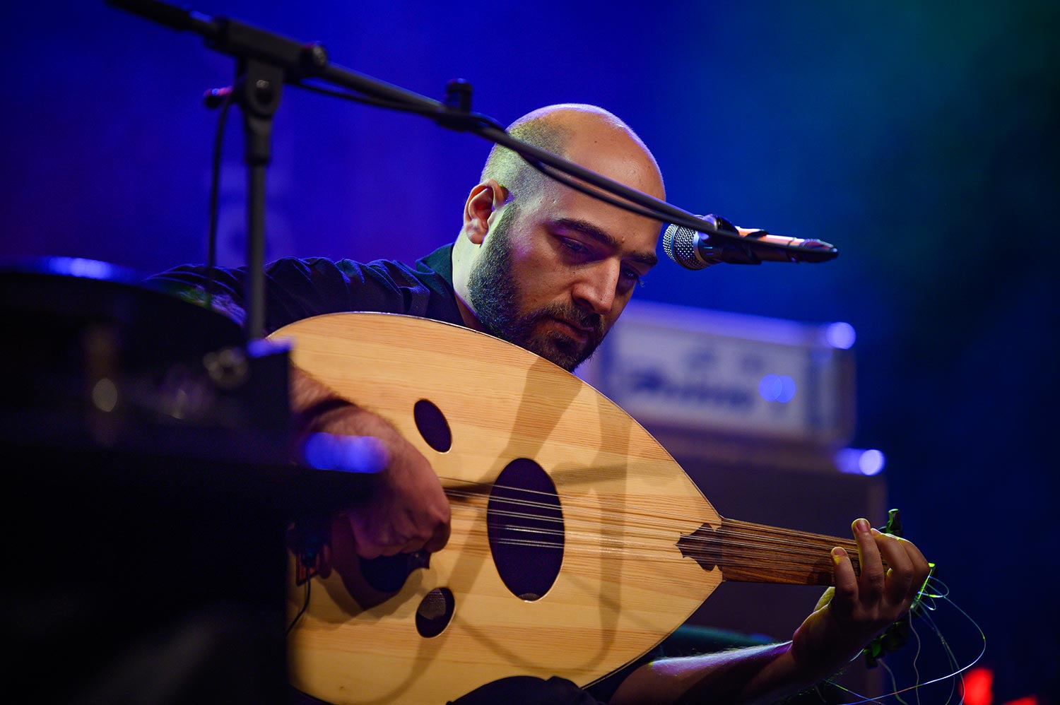 Damahi | داماهی